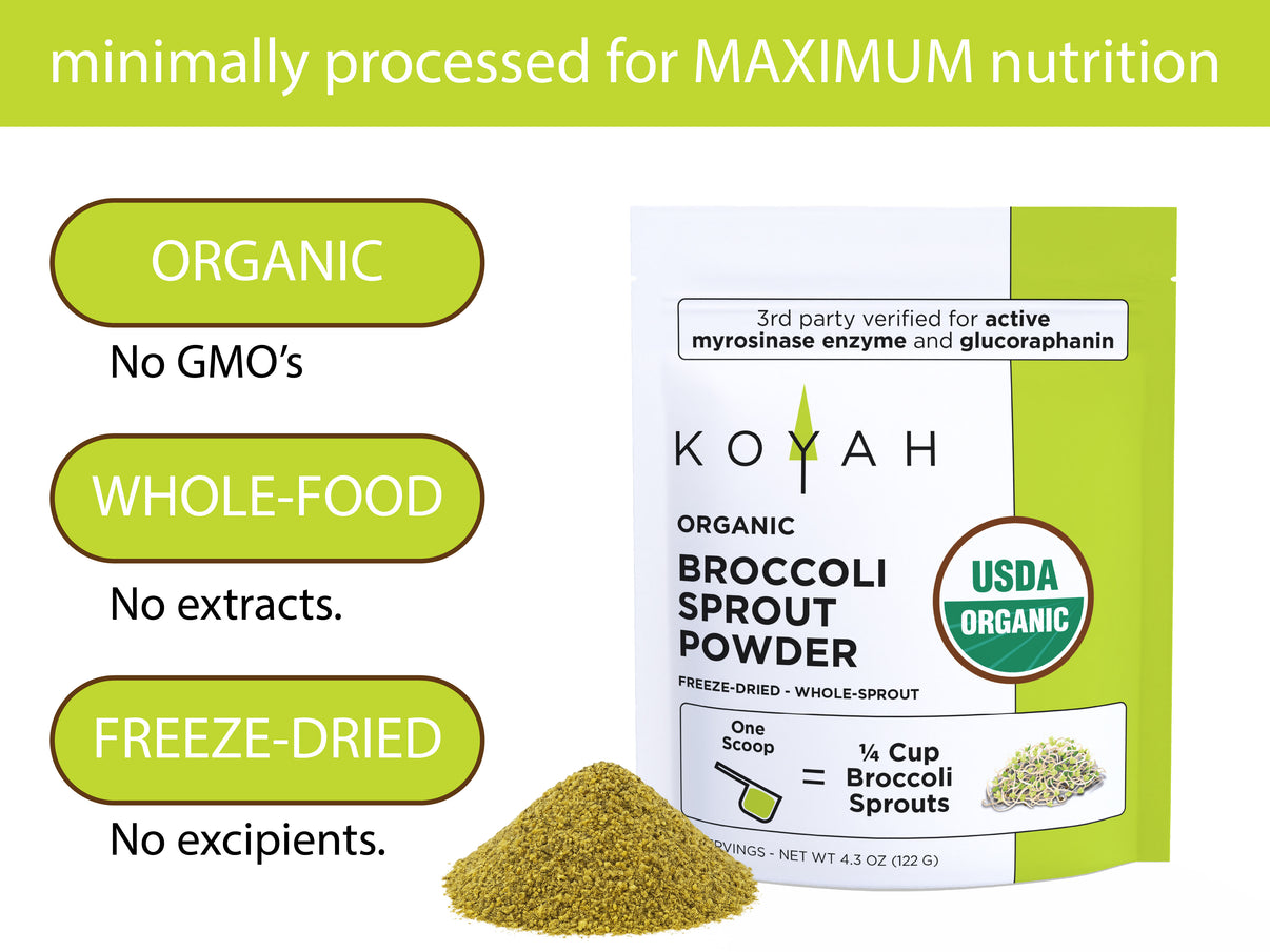Organic Broccoli Sprout Powder – KOYAH