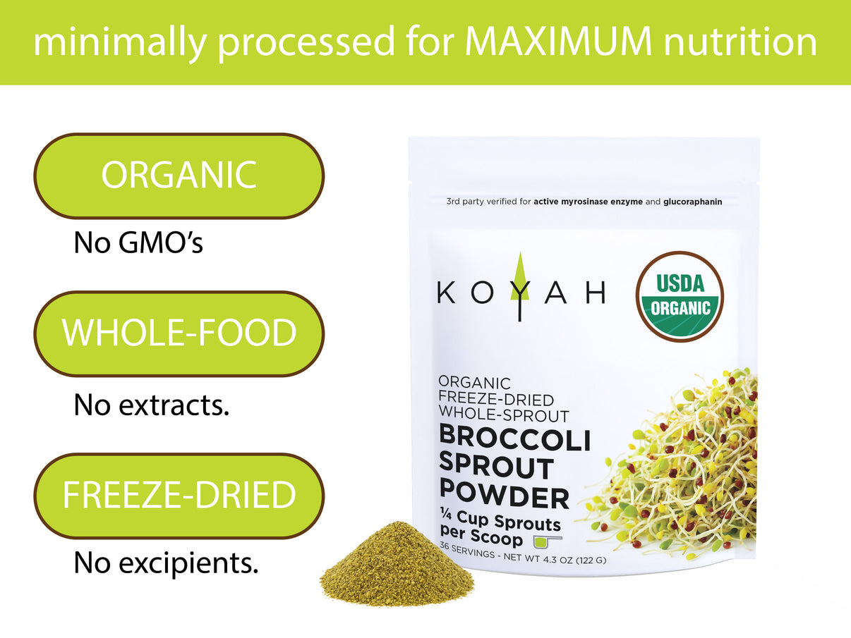 Organic Broccoli Sprout Powder | Freeze-Dried | KOYAH
