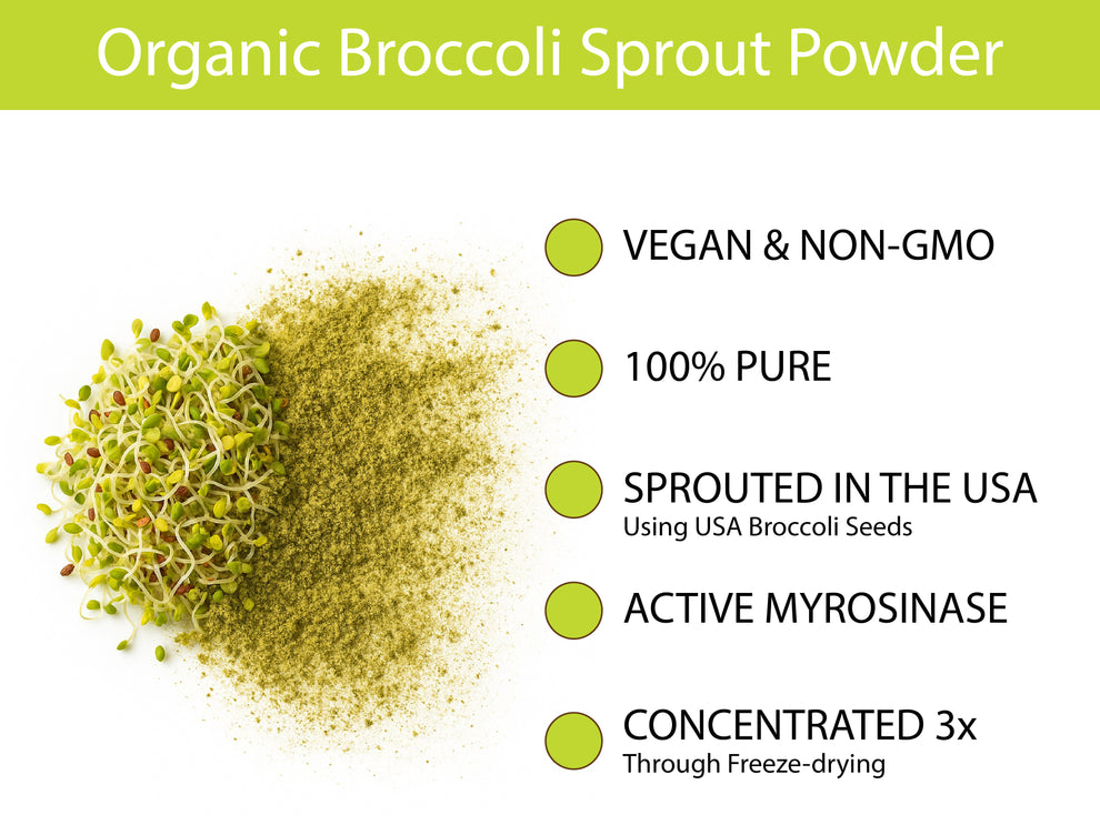 Organic Broccoli Sprout Powder – KOYAH