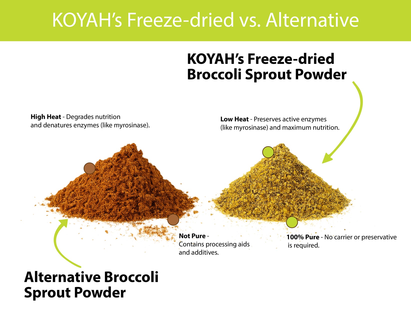Organic Broccoli Sprout Powder | Freeze-Dried | KOYAH