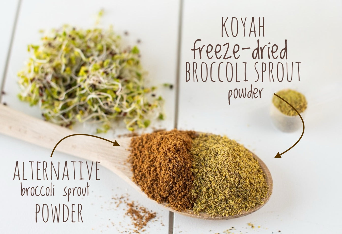 Organic Broccoli Sprout Powder - USA Sprouted & Freeze-Dried – KOYAH