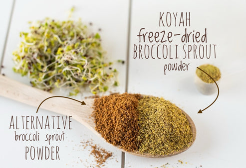 Organic Broccoli Sprout Powder - USA Sprouted & Freeze-Dried – KOYAH