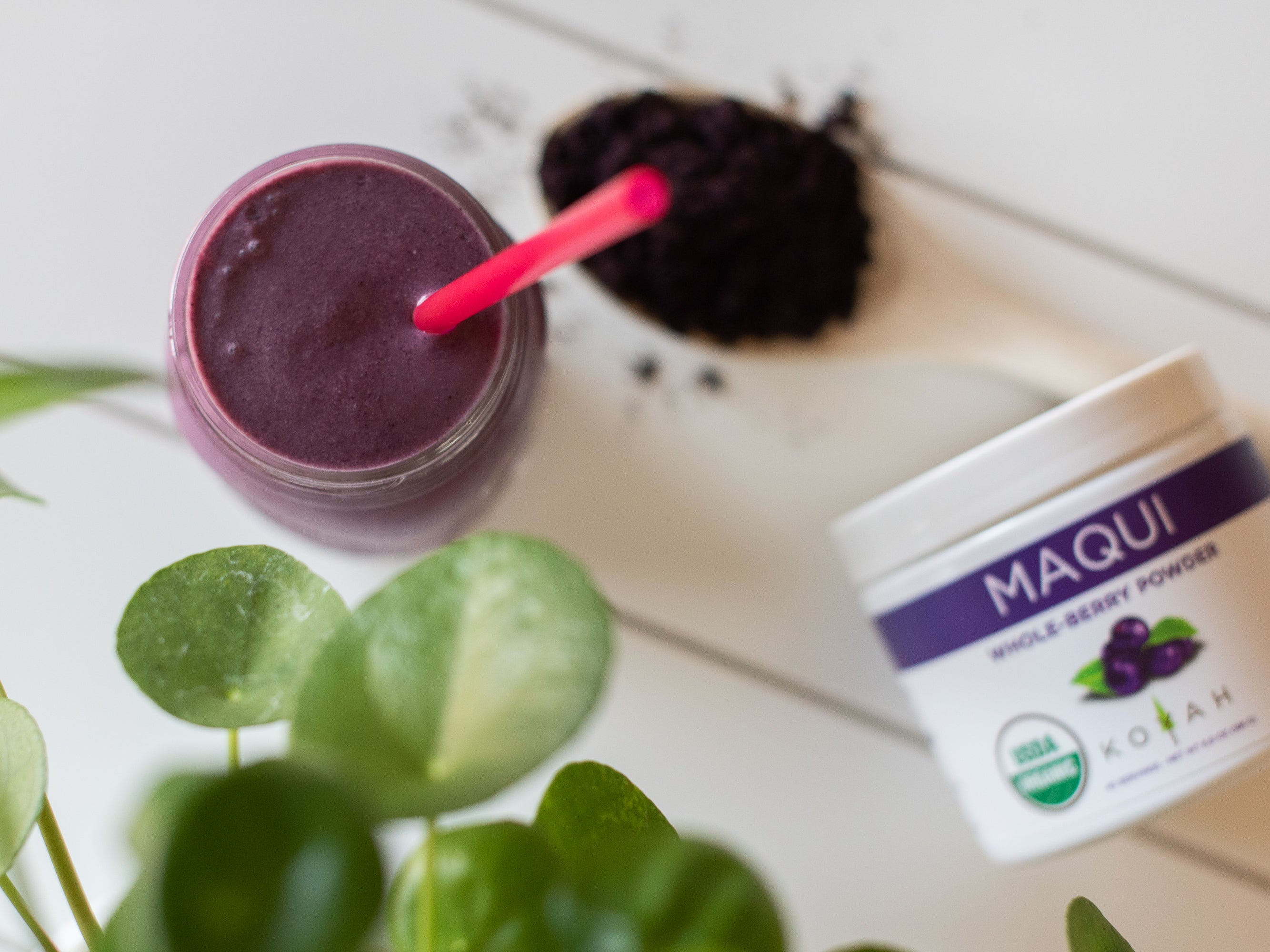 Organic Freeze-Dried Maqui Berry Powder – KOYAH
